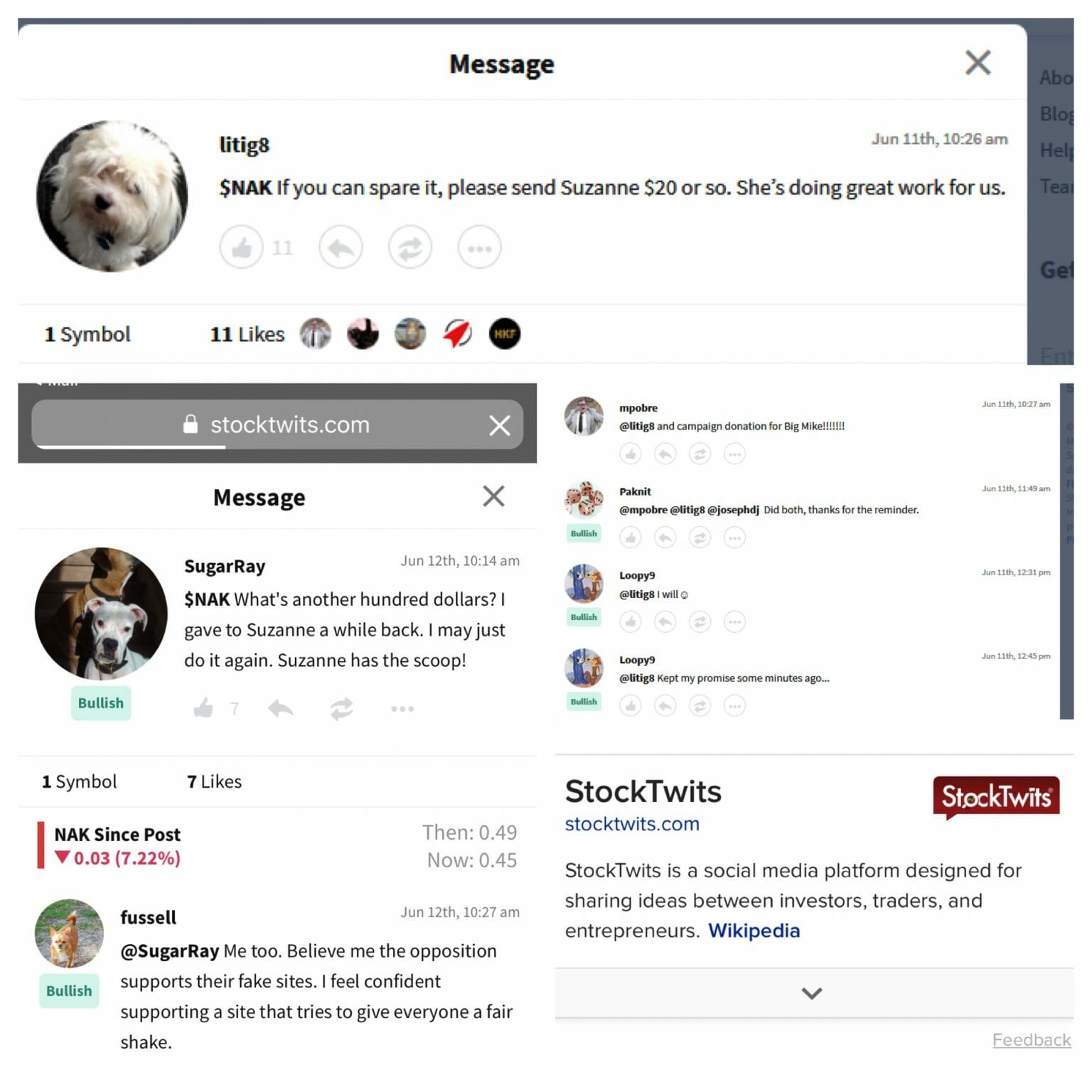 Pebble stocks - The Alaska Landmine