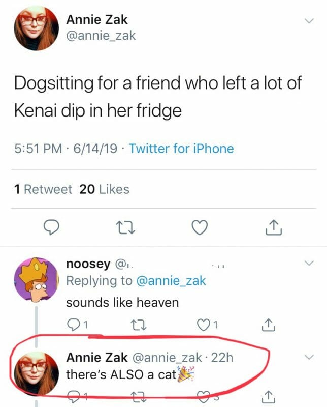 cat in the freezer - The Alaska Landmine