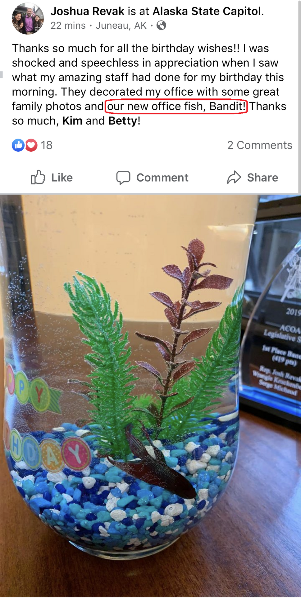 Revak - The Alaska Landmine