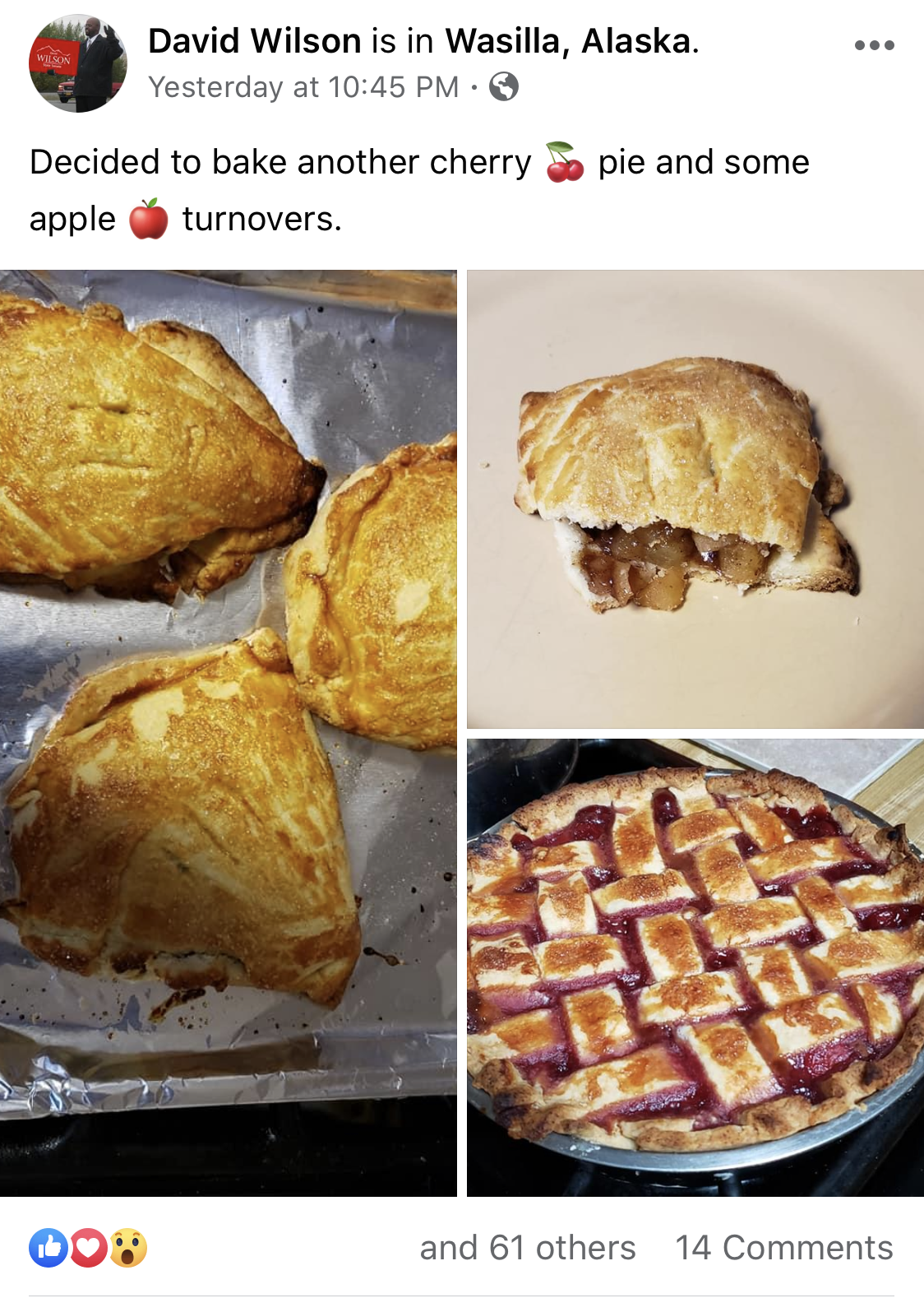 David Wilson - The Alaska Landmine