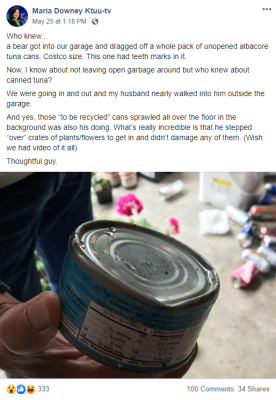 Maria Downey - The Alaska Landmine