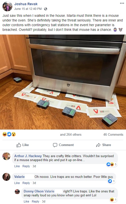 Revak Mouse - The Alaska Landmine