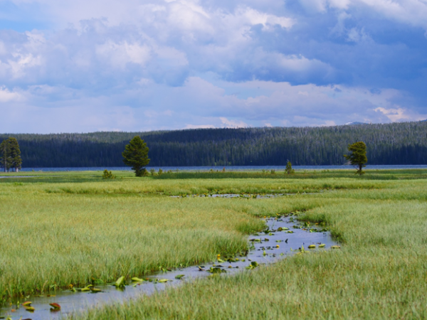 Plug and Chug: Driving an electric car from Vermont to Alaska during a ...