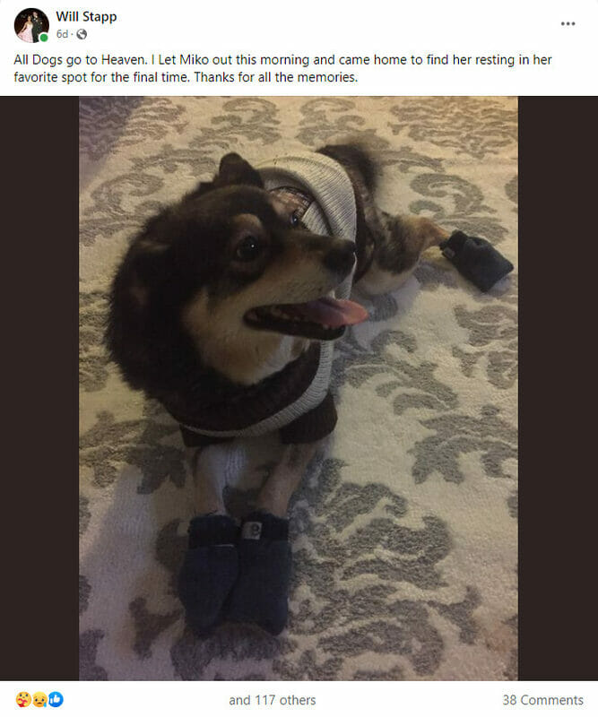 Will Stapp - The Alaska Landmine