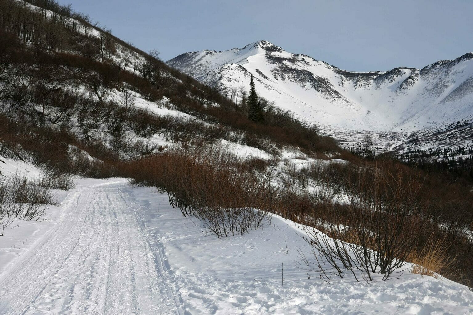 stewart-trail-anchorage-hillside-chugach-alaska - The Alaska Landmine